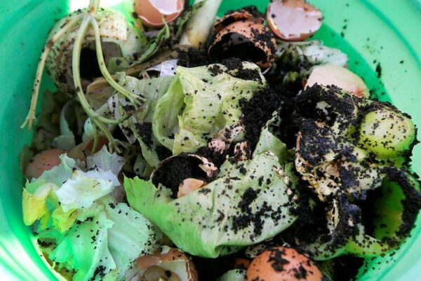 Durango partners with Table to Farm Compost to increase food waste ...